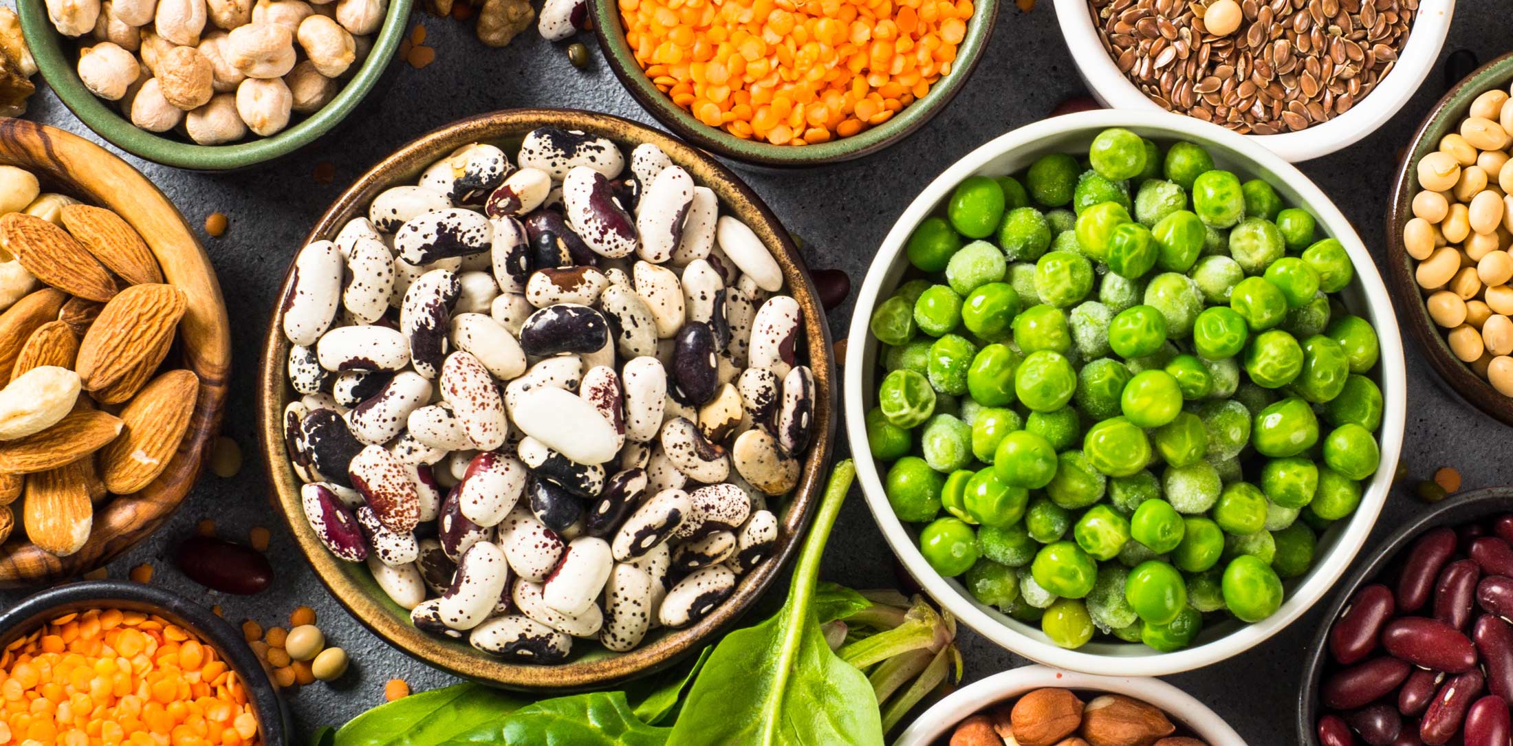 Everything You Wanted to Know about Protein Quality and PDCAAS